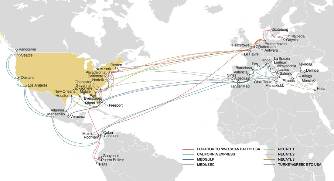Transatlantic service from Europe to USA | MSC