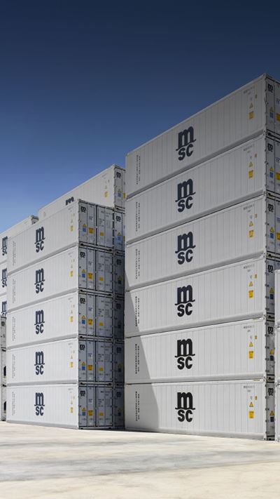 Reefer Containers - Refrigerated Transport Solutions | MSC